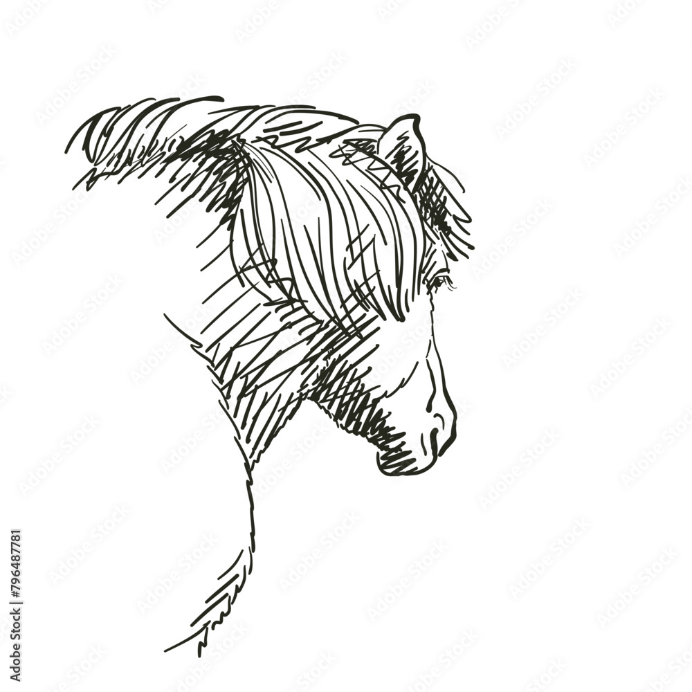 Horse head view from back vector sketch, Vector Hand drawn illustration ...