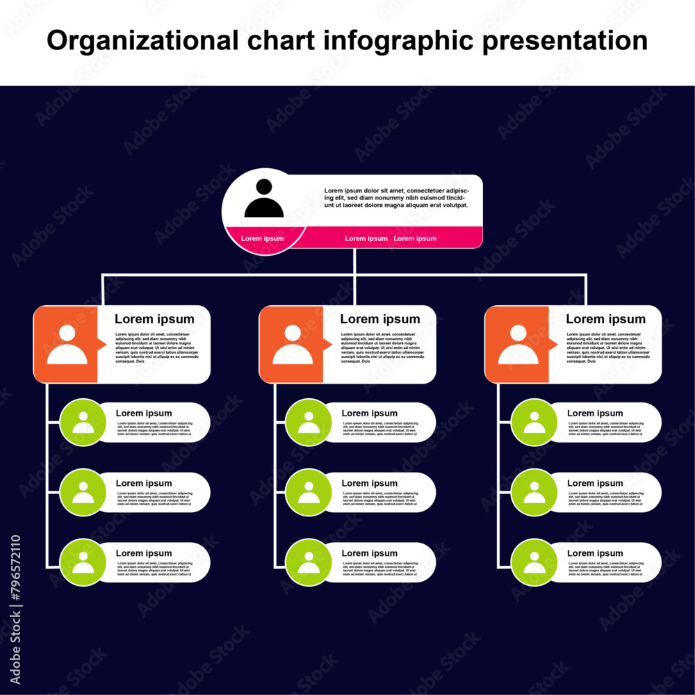 organizational chart infographic presentation Stock Vector | Adobe Stock
