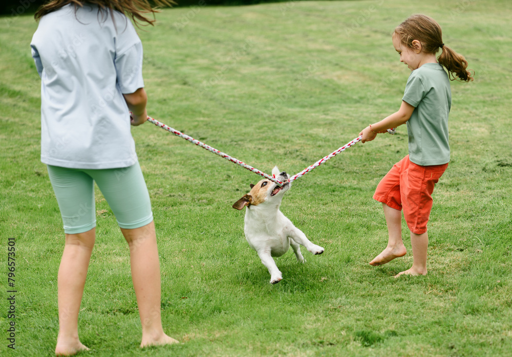 Pet dog pulling rope playing with children tug-of-war game Stock Photo ...