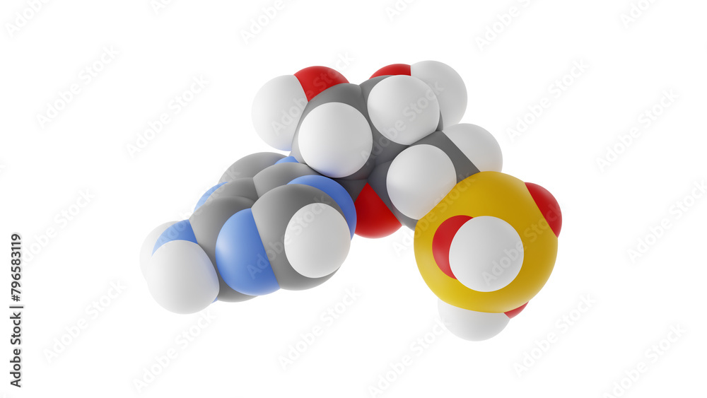 Adenosine Monophosphate Molecule 5 Adenylic Acid Molecular Structure Isolated 3d Model Van