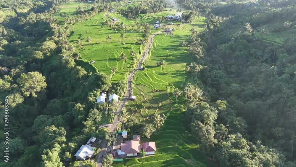 This is the traditional rice field of Bayan village. Located in the ...