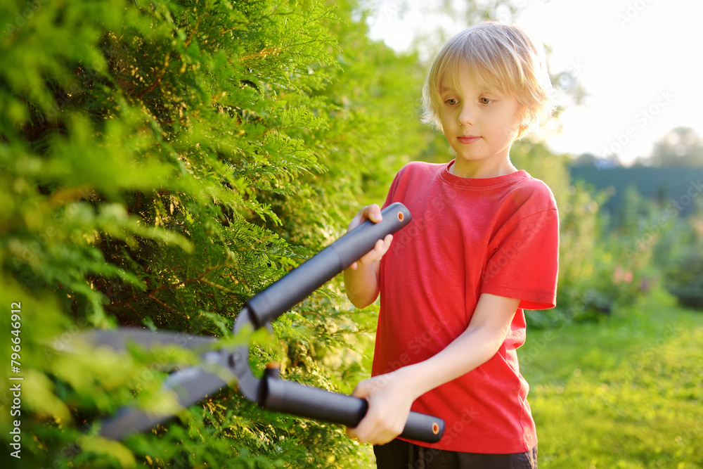 Portrait of cute preteen boy gardener. Child trimming thuja hedge with ...