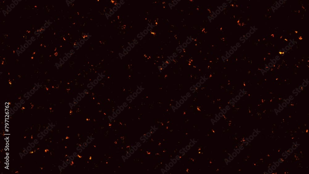 Abstract lights black background animation with animated gold color ...