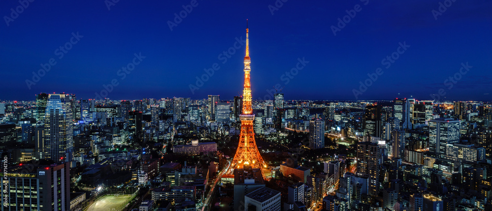 Tokyo, Japan - February 24 2024: Panoramic view of Tokyo tower and ...