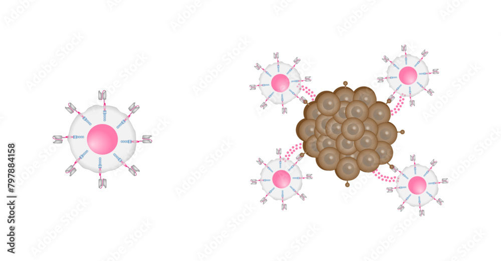 CAR T-cell therapy and Cancer treatment . Chimeric antigen receptor T ...