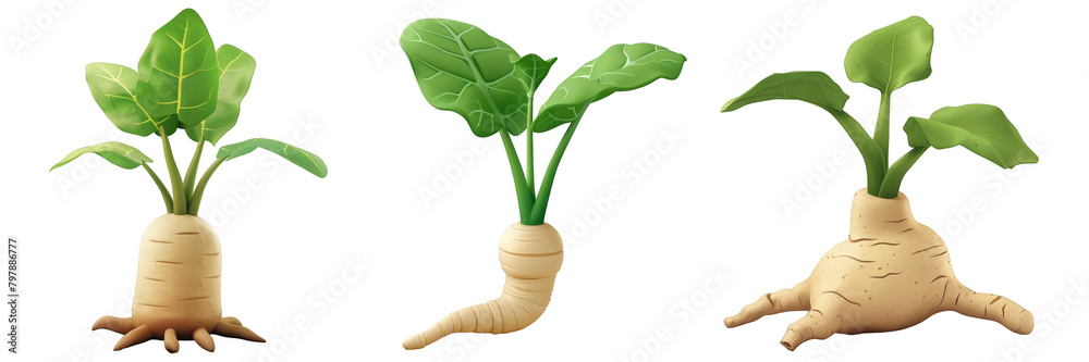 PNG taro root 3d icons and objects collection, in cartoon style minimal ...