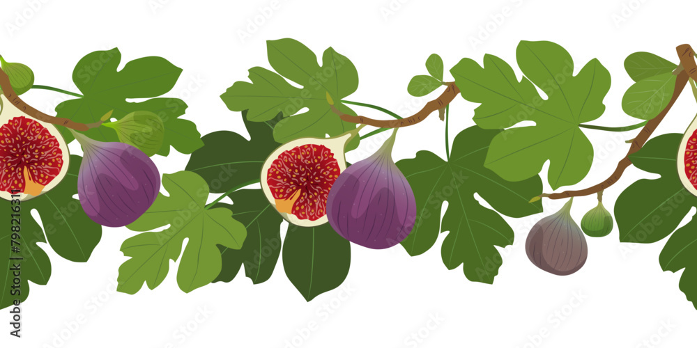Figs branch with green leaves isolated on white background. Seamless ...