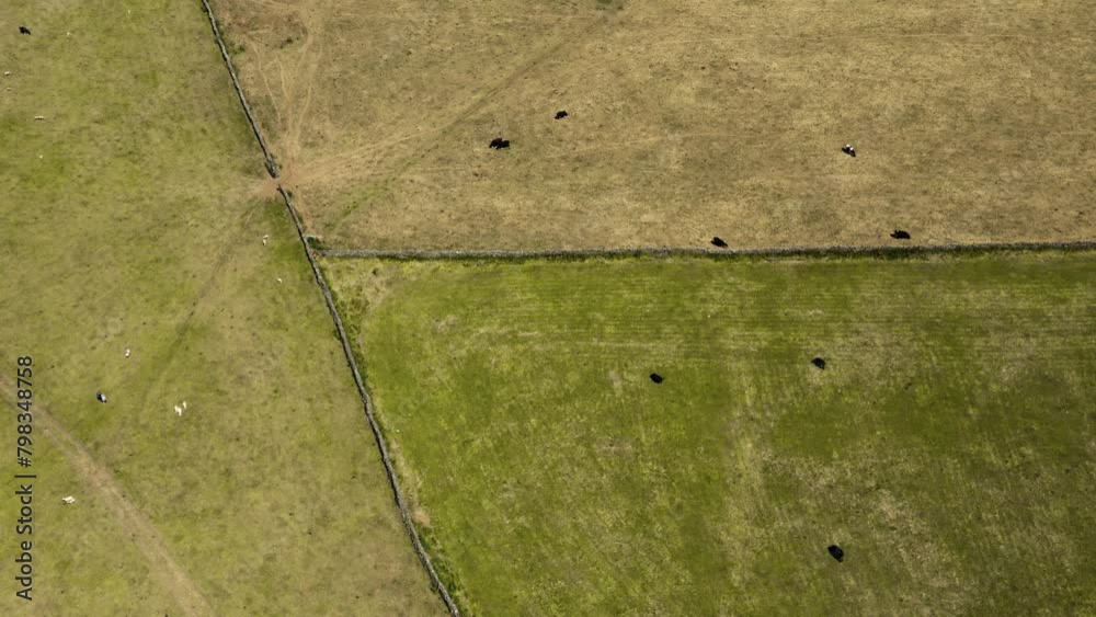 Arbow Low Neolithic henge, stone circle and adjoined Bronze Age bowl ...