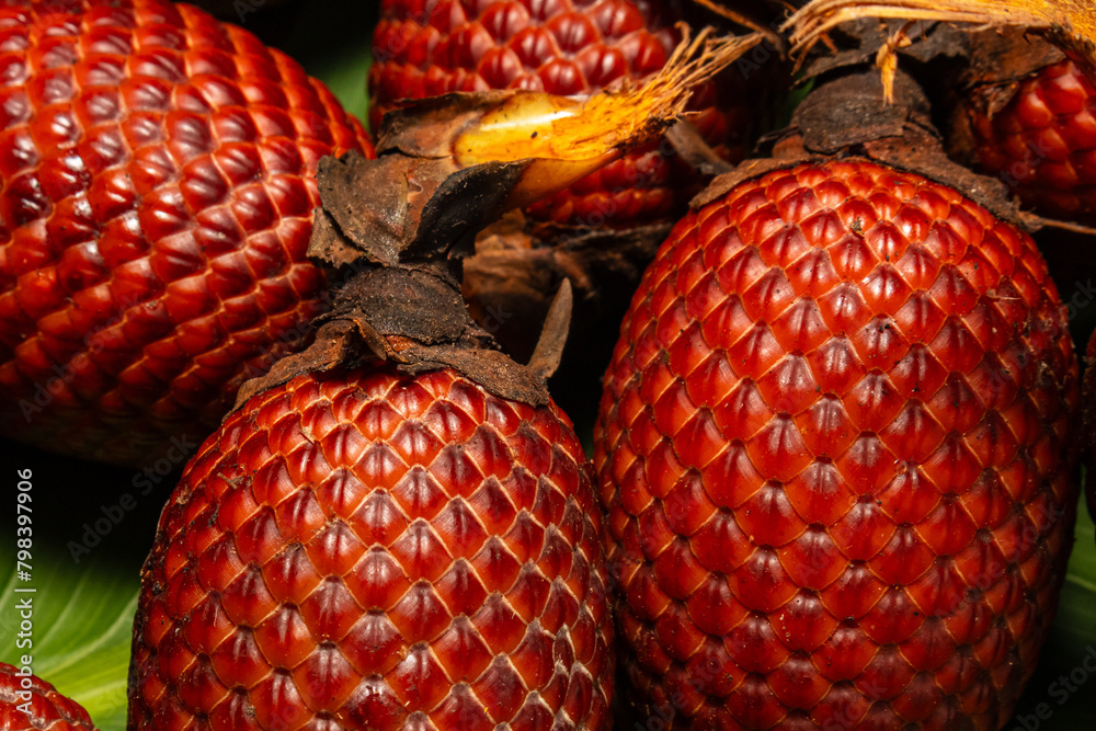 Foto de AGUAJE, A VERY CONSUMED FRUIT IN THE AMAZON REGIONS, AGUAJE OR ...