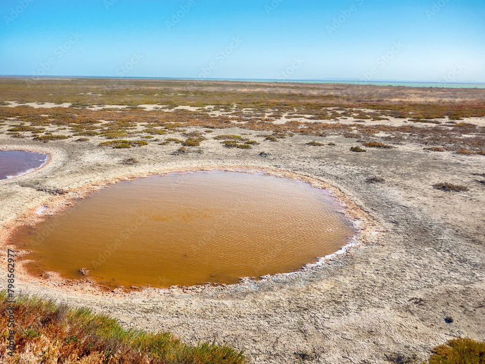 Subsidence funnels on salt marsh are filled with lakes of diverse ...
