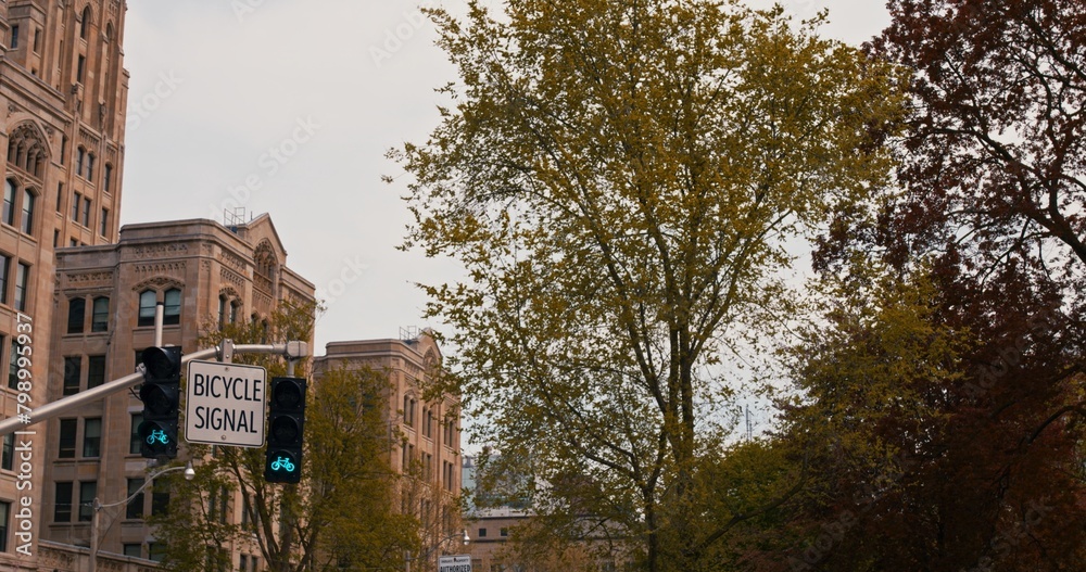 Cycling in focus, a bicycle traffic light signals green in an American ...