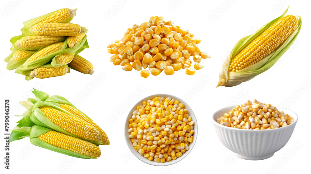 Corn vegetable fruit, many angles and view side top front cluster stalk ...