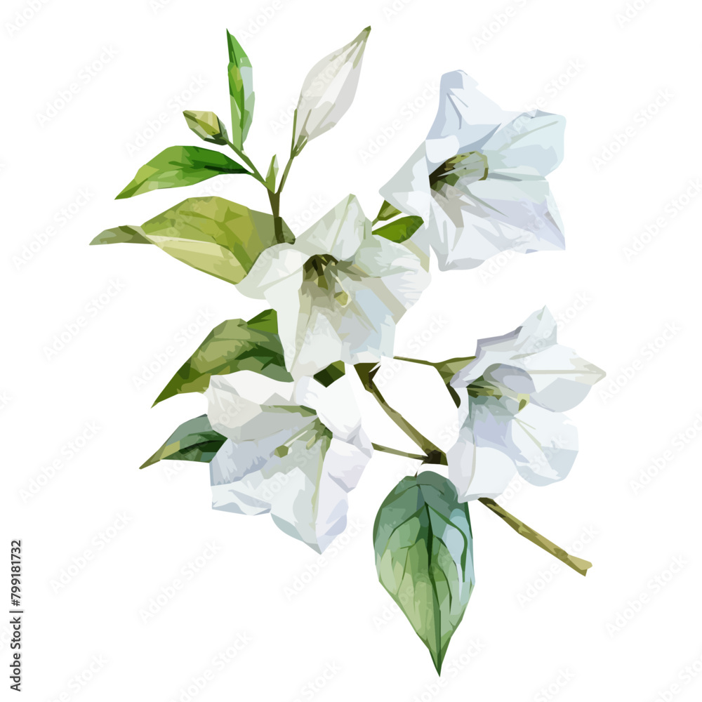 Watercolor clipart vector of a chilean bellflower, isolated on a white ...