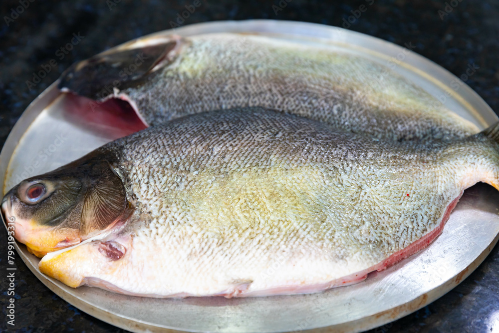 Fresh tropical fish Tambaqui (Colossoma macropomum) typical Brazilian ...