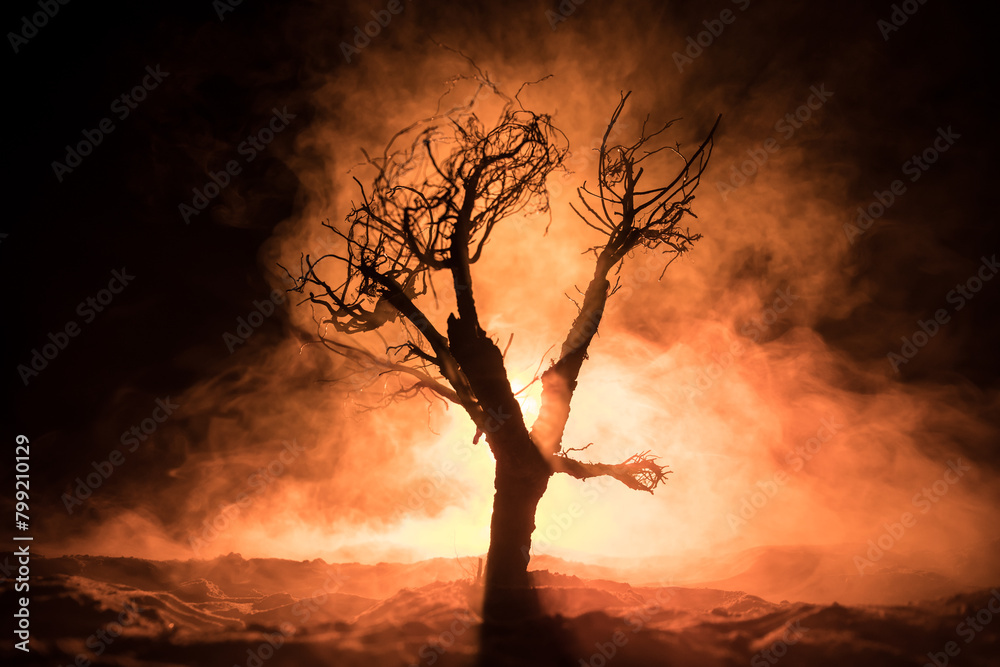 Silhouette of scary Halloween tree with horror face on dark foggy toned ...