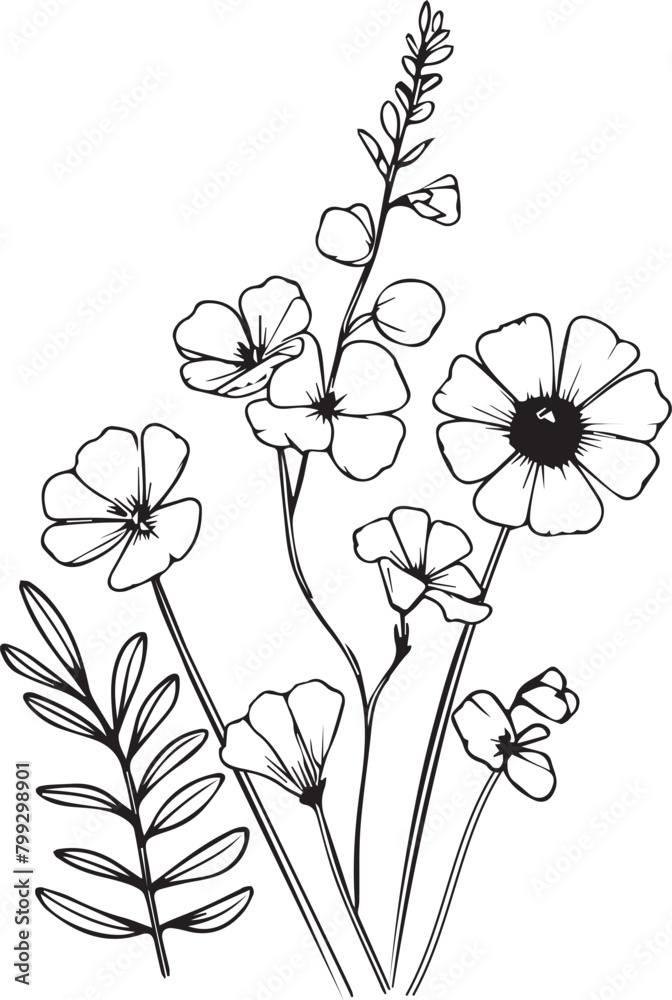 April Birth Flower Svg Birth Month Flower Drawing Birthday Flower