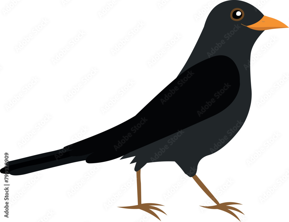 Common eurasian blackbird cartoon illustration isolated on white ...