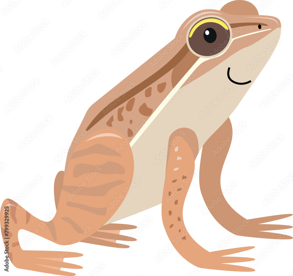 Common frog cartoon illustration isolated on white background. Flat ...