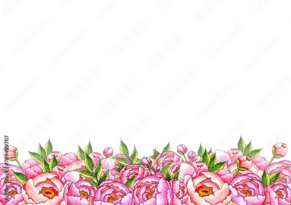 Pink peonies with buds and green leaves, border frame at the bottom ...