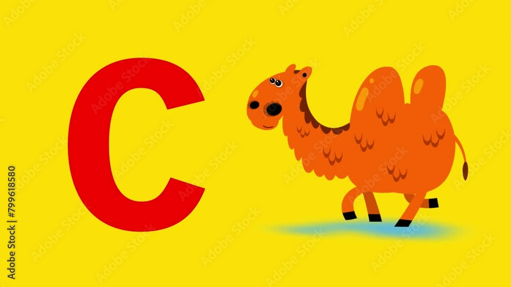 C letter big color like camel cartoon animation. Animal loop ...