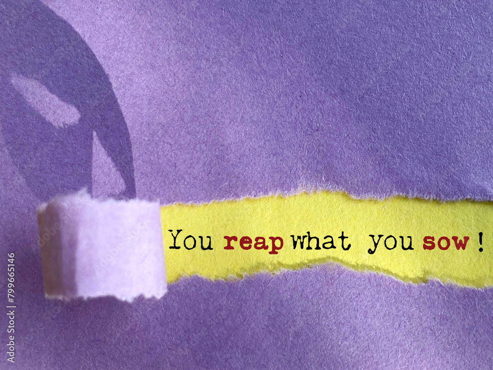 You reap what you sow words behind torn paper background. Stock photo ...
