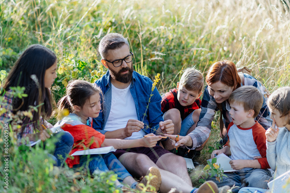 Young students learning about nature, forest ecosystem during biology ...