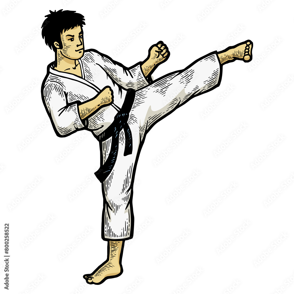 Karate athlete kick foot up on head area color sketch engraving PNG ...