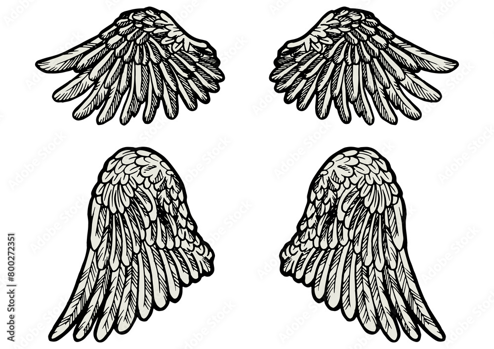 Bird angel wings set sketch engraving PNG illustration. Scratch board ...