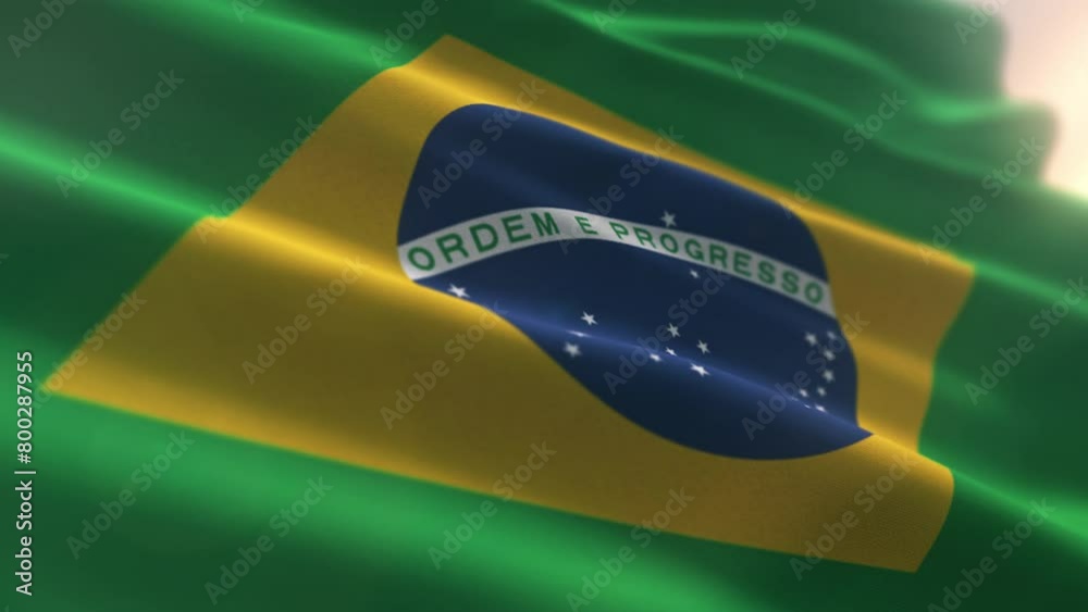 Swinging the official country flag of the Federative Republic of Brazil ...