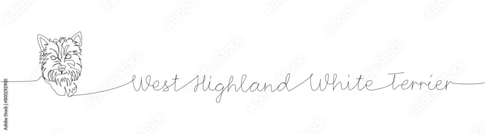 West Highland White Terrier, Westie, Scottish dog breed, companion ...