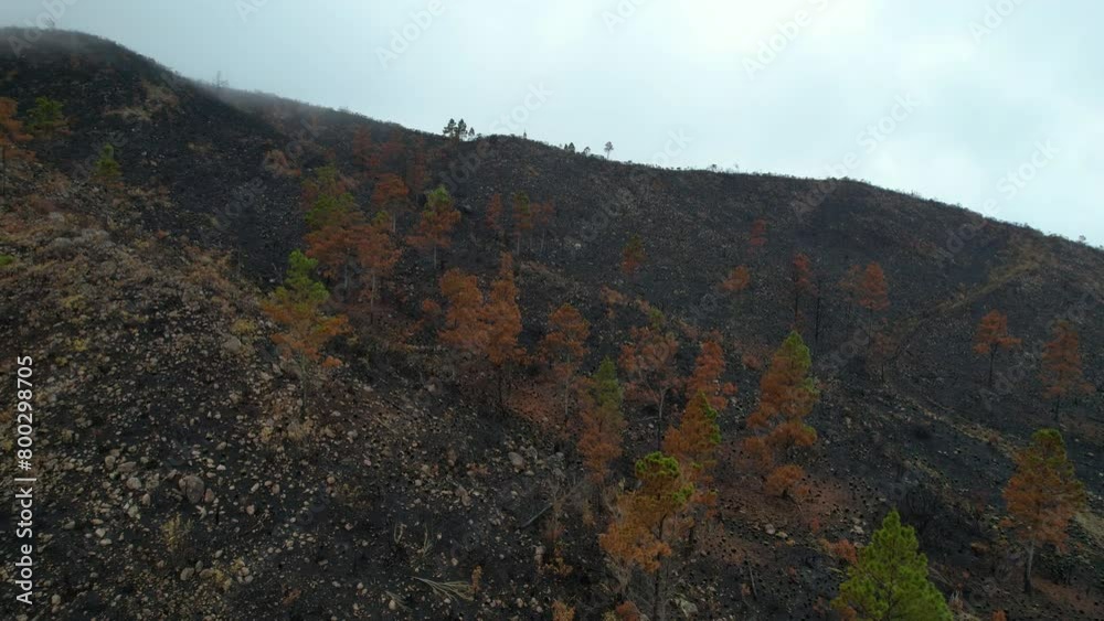 Aerial flight uphill mountain after bush and forest fire on Dominican ...