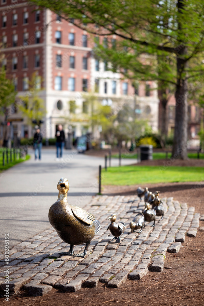 The architecture of Boston in Massachusetts, USA showcasing the Boston ...