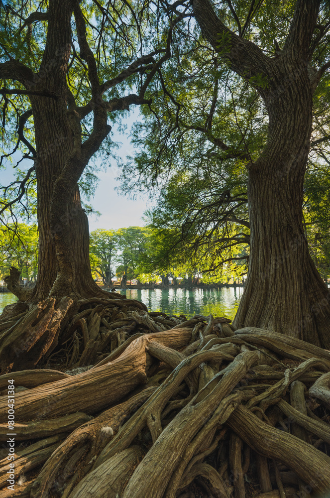 Beautiful lake of Camecuaro Michoacán, Mexico, with its amazing ...