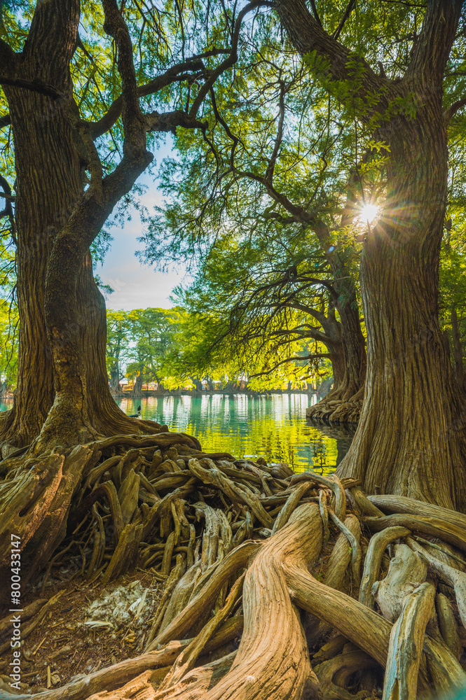 Beautiful lake of Camecuaro Michoacán, Mexico, with its amazing ...