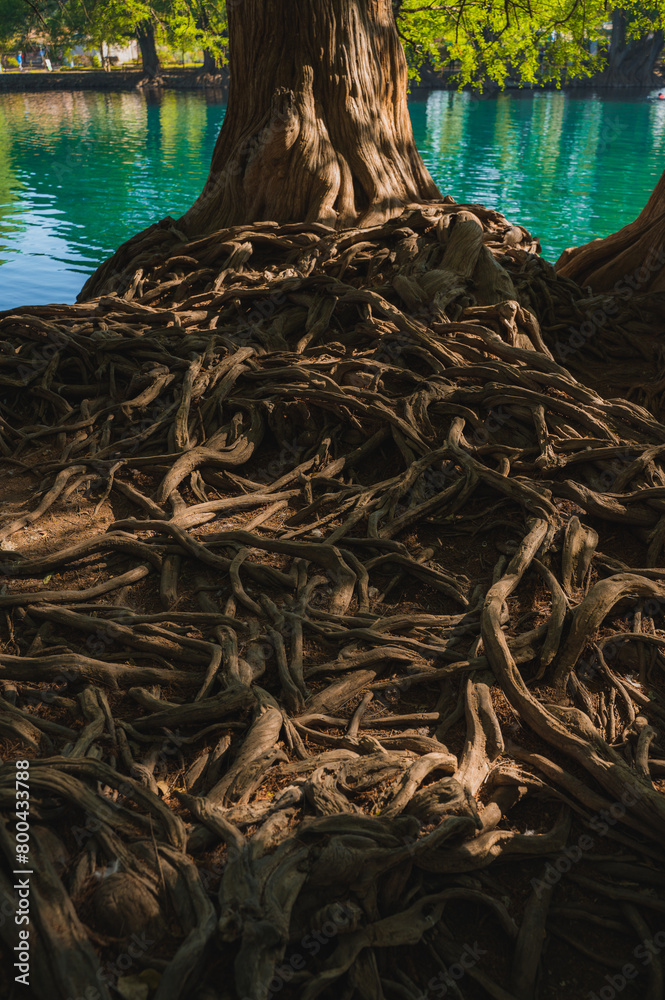 Beautiful lake of Camecuaro Michoacán, Mexico, with its amazing ...