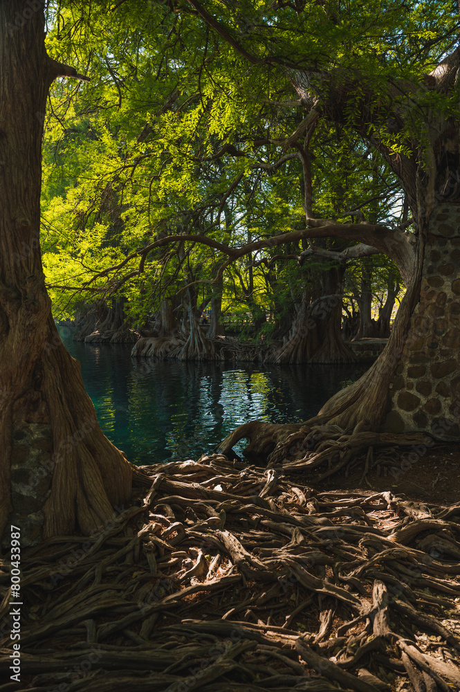 Zdjęcie Stock: Beautiful lake of Camecuaro Michoacán, Mexico, with its ...