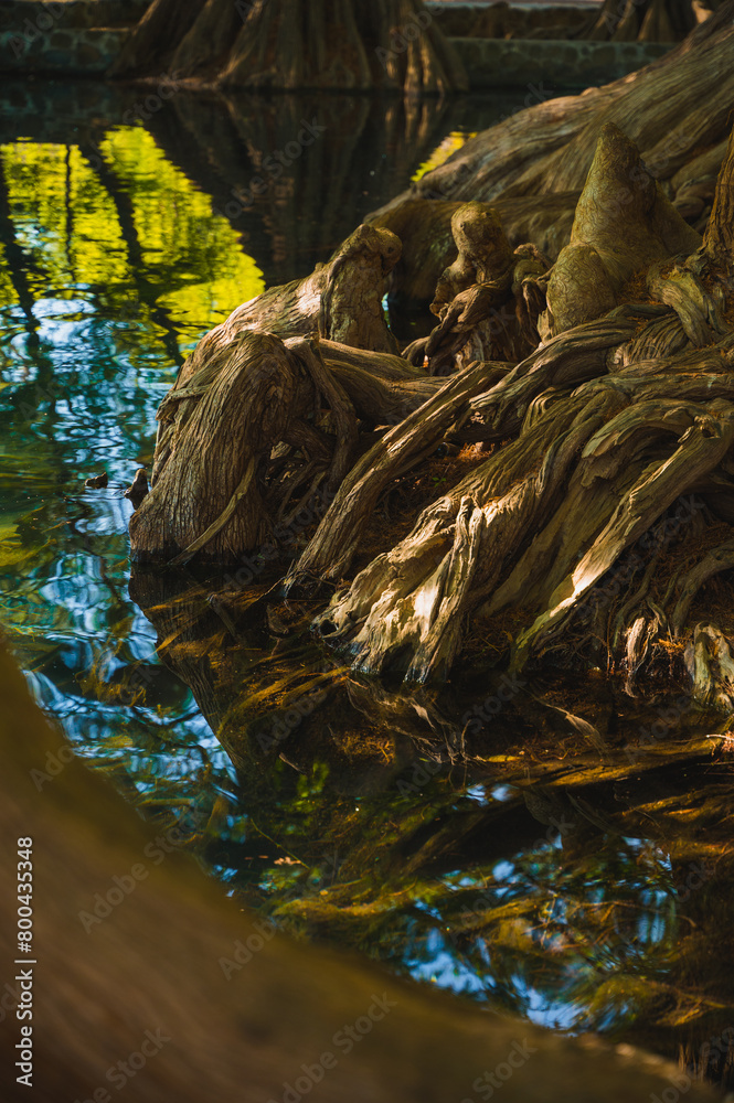 Fotografia do Stock: Beautiful lake of Camecuaro Michoacán, Mexico ...