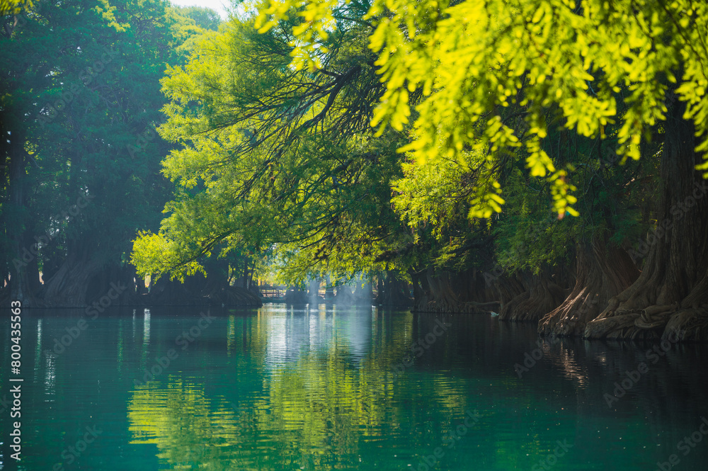 Beautiful lake of Camecuaro Michoacán, Mexico, with its amazing ...