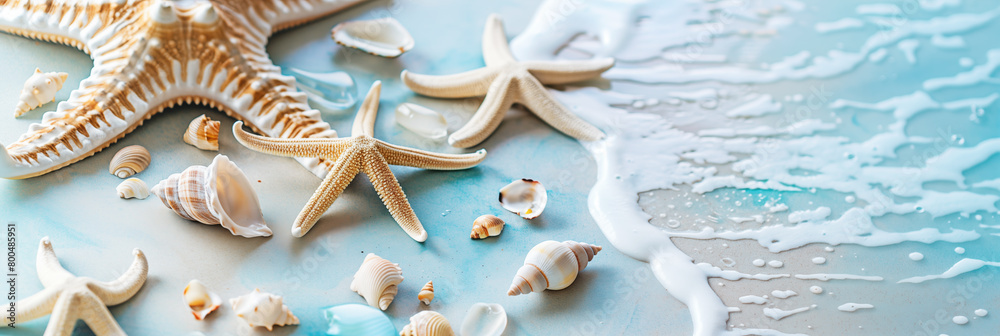 Starfish and shells on textured beach with copy space background banner ...
