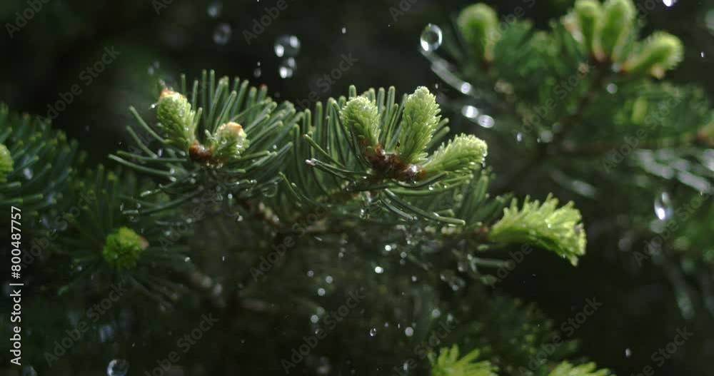 Vidéo Stock Super slow motion close up of splashing crystal pure rain ...