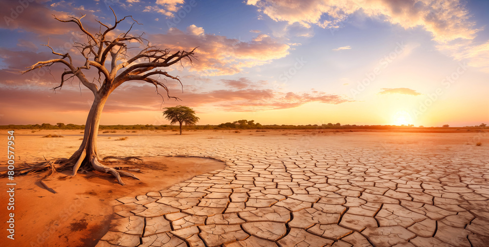 Parched Land and Withered Tree Beneath Vivid Sunset - A Stark Image of ...