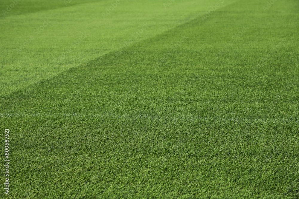 Green stadium grass. Natural grass of a soccer stadium or football ...