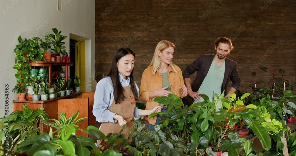 Selling houseplants in pots. Portrait of young Asian happy flower shop ...
