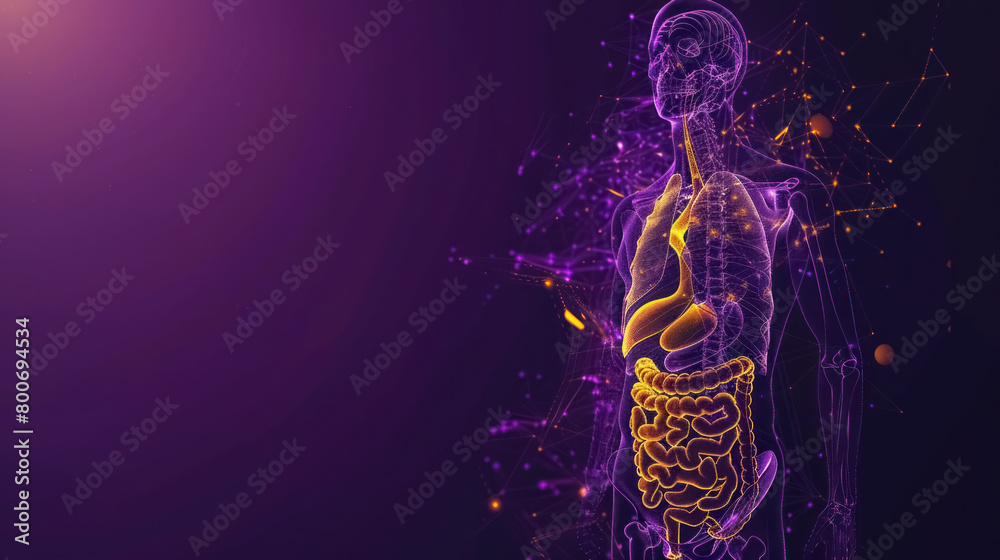 vibrant digital human body anatomy with interconnected nodes and ...