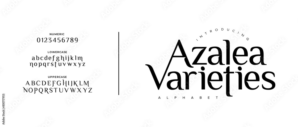 Azalea Elegant Font Uppercase Lowercase and Number. Classic Lettering ...