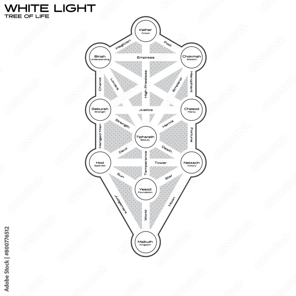White Light Tree Of Life Diagram Stock Vector | Adobe Stock