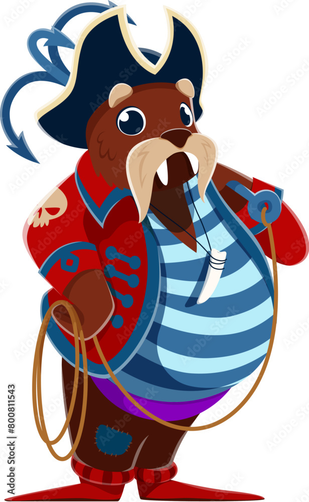 Cartoon walrus animal boatswain pirate character, corsair seaman with ...
