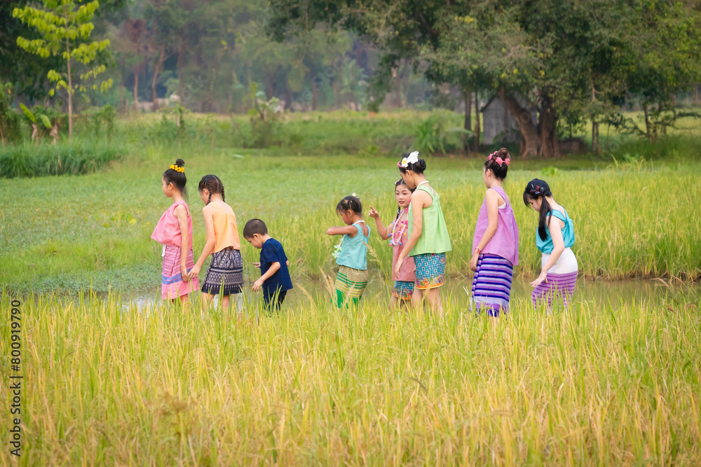 Agriculture organic rice field farm for health. Happy Asian Thai group ...