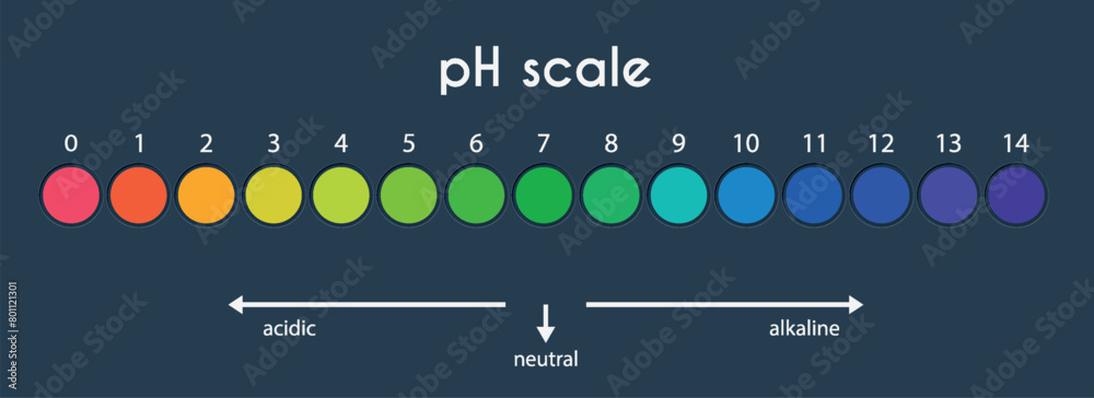 pH value scale chart for acid-alkaline solution. Acid-base balance ...
