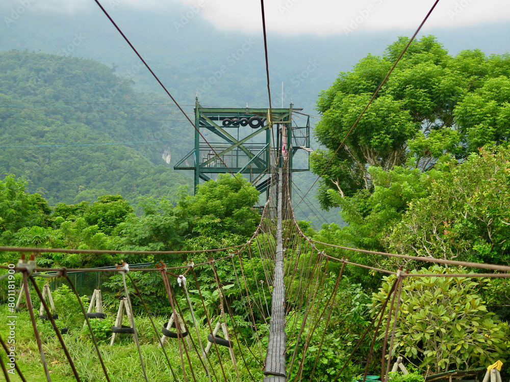 Canopy walkway. Aerial ropeway in the jungle. Suspension bridge against ...